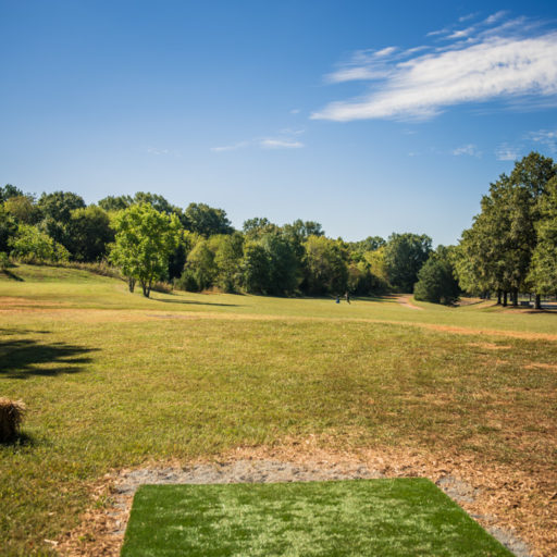 PHOTO GALLERY: 2017 USDGC Course Photos - Disc Golf World Tour